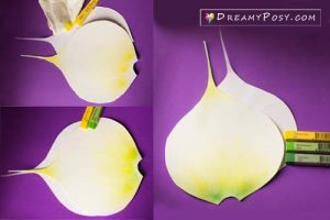 How to make paper Calla Lily flower, FREE template