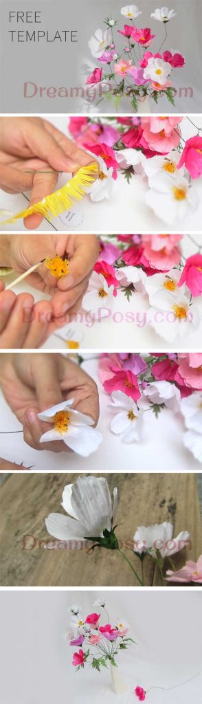 How to make Cosmos paper flower, FREE template