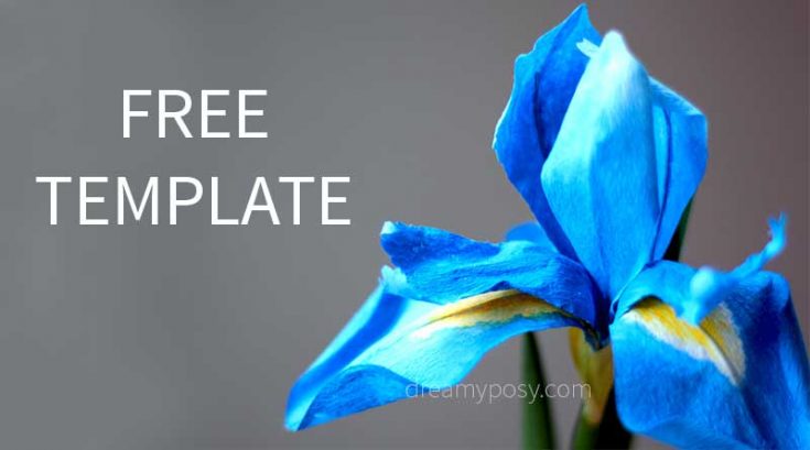How to make paper Iris flower, Free template and full video