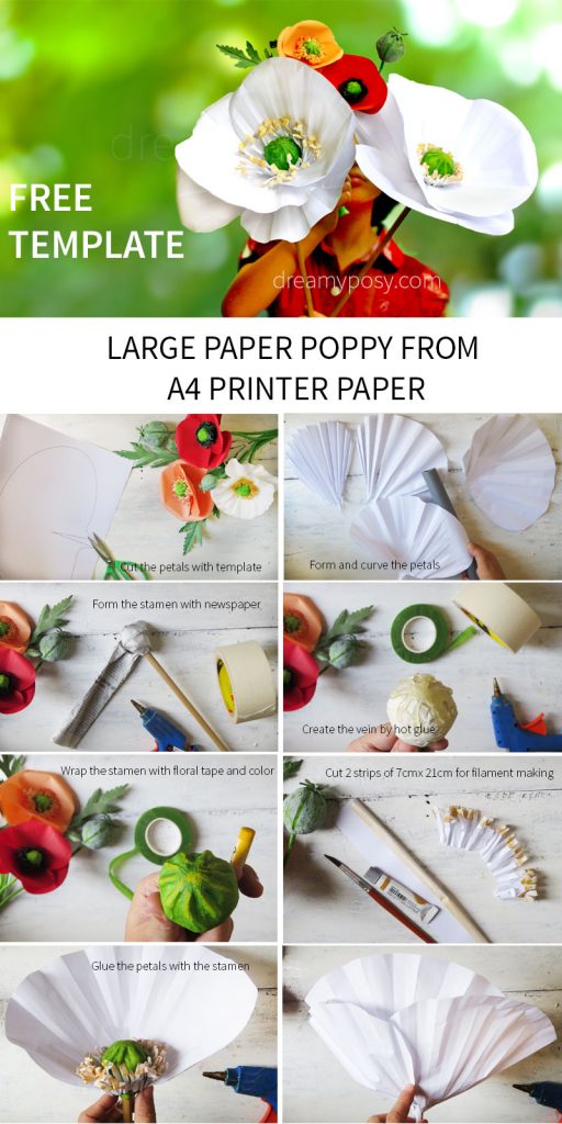 Large paper Poppy flower, FREE tutorial and template