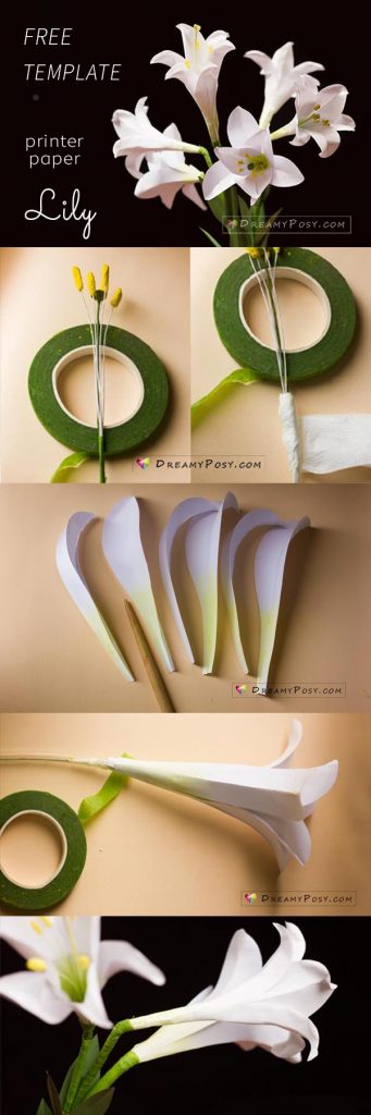 How to make paper Easter Lily flower, free template