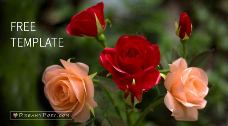 Tissue paper flowers | Free templates and tutorials