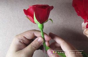 How to make tissue paper rose, free template, step by step