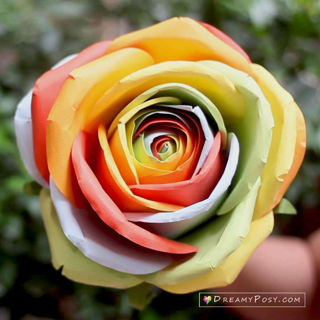 Rainbow rose from paper, free tutorial and template