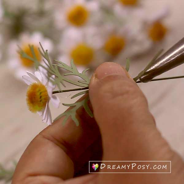 How to make paper Chamomile and Daisy, SVG|DXF|PNG template