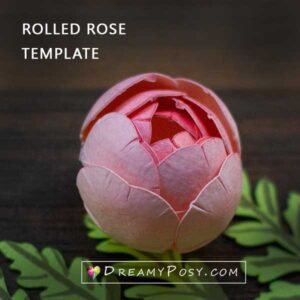 The best 3D rolled paper roses Cricut tutorial and SVG, PDF templates