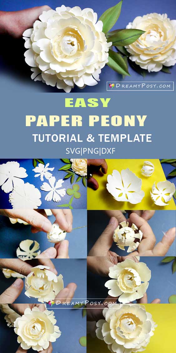 Peony paper flower tutorial and svg template , simple method